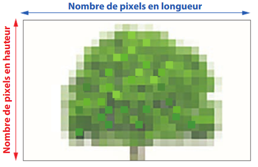 Le pixel [Enseignement SNT - Module 05 - La photographie numérique]